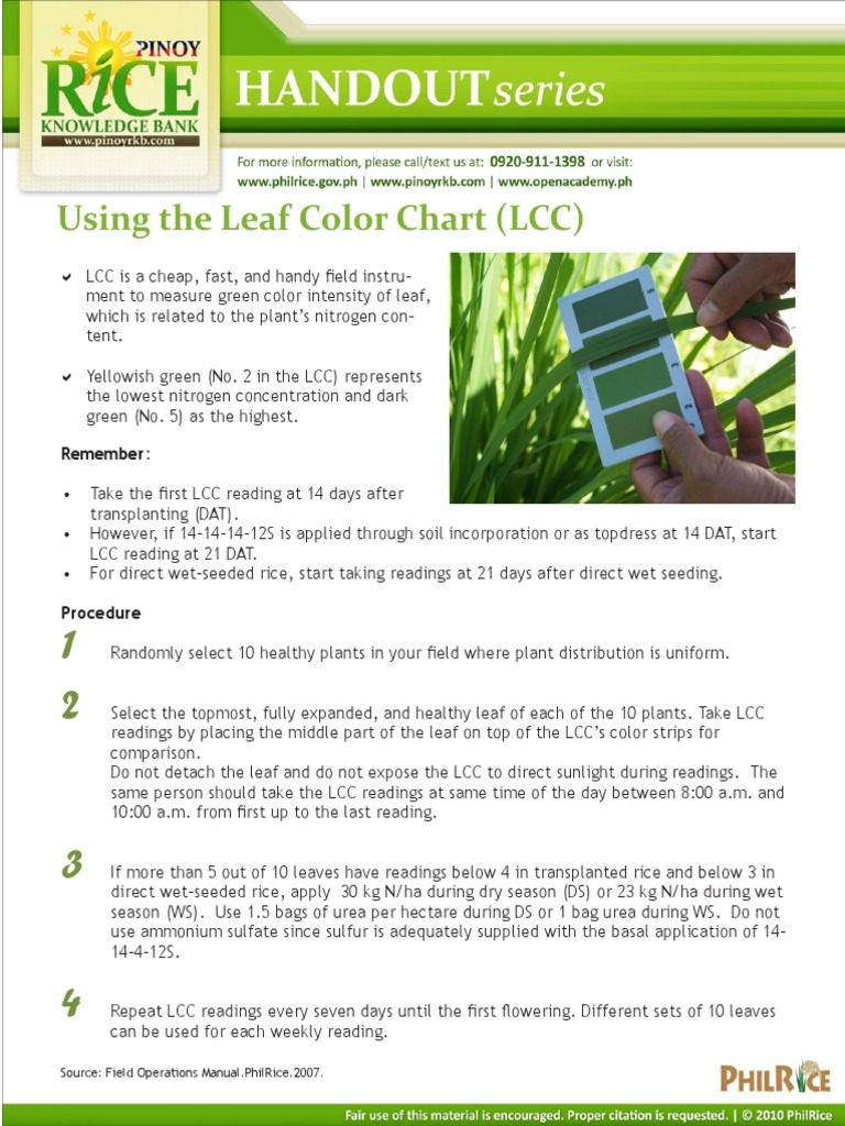 Using The Leaf Color Chart or LCC PDF | PDF