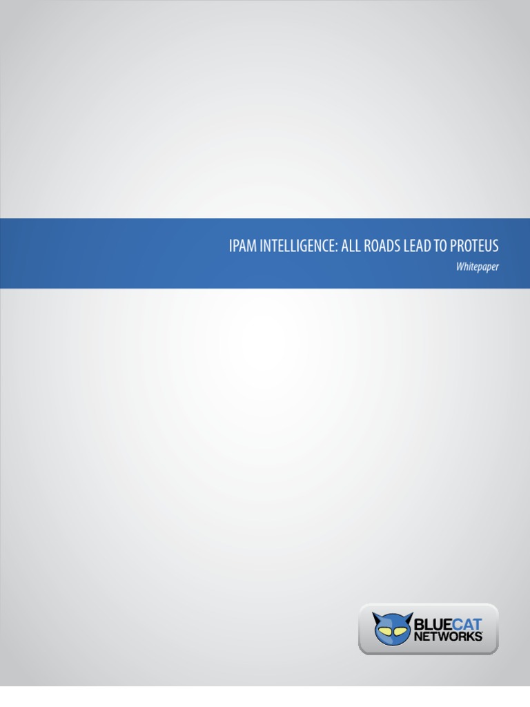 Proteus - BlueCat Networks | PDF | Ip Address | I Pv6