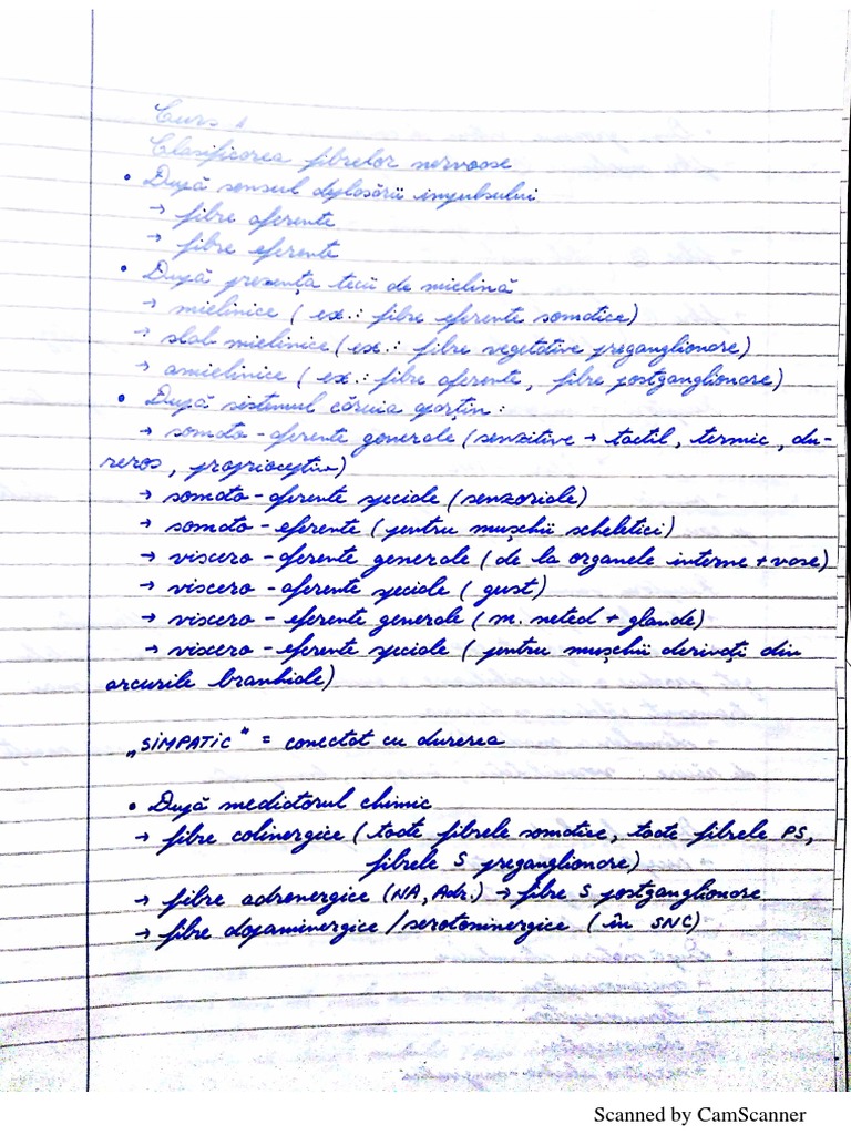 Anato - II, II Partea 3 | PDF