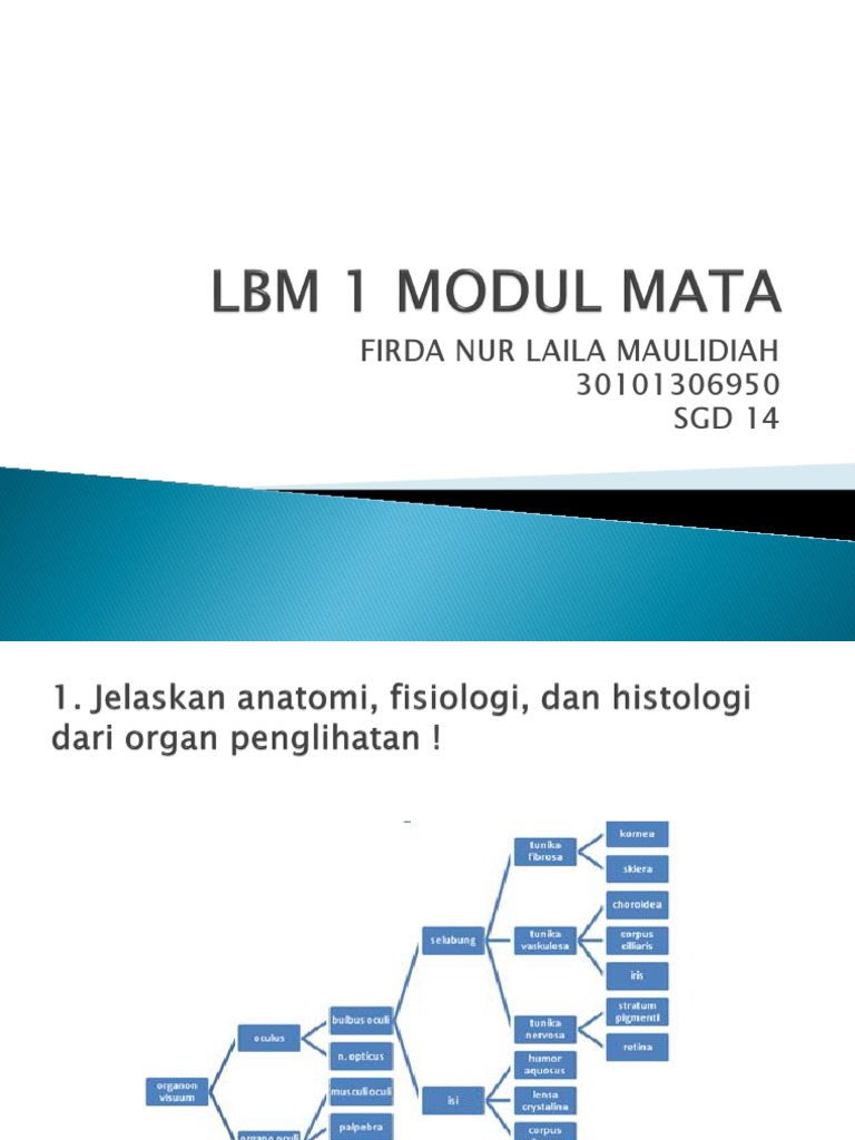 Anatomi dan Fungsi Rongga Orbita Mata | PDF | Kesehatan Holistik