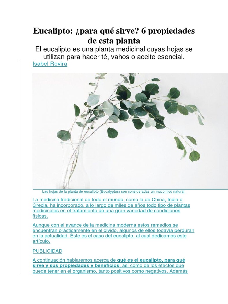 Eucalipto ¿Para Qué Sirve 6 Propiedades de Esta Planta | PDF ...