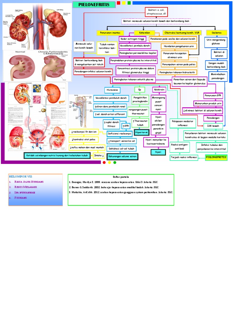Patofisiologi Pielonefritis 2 | PDF