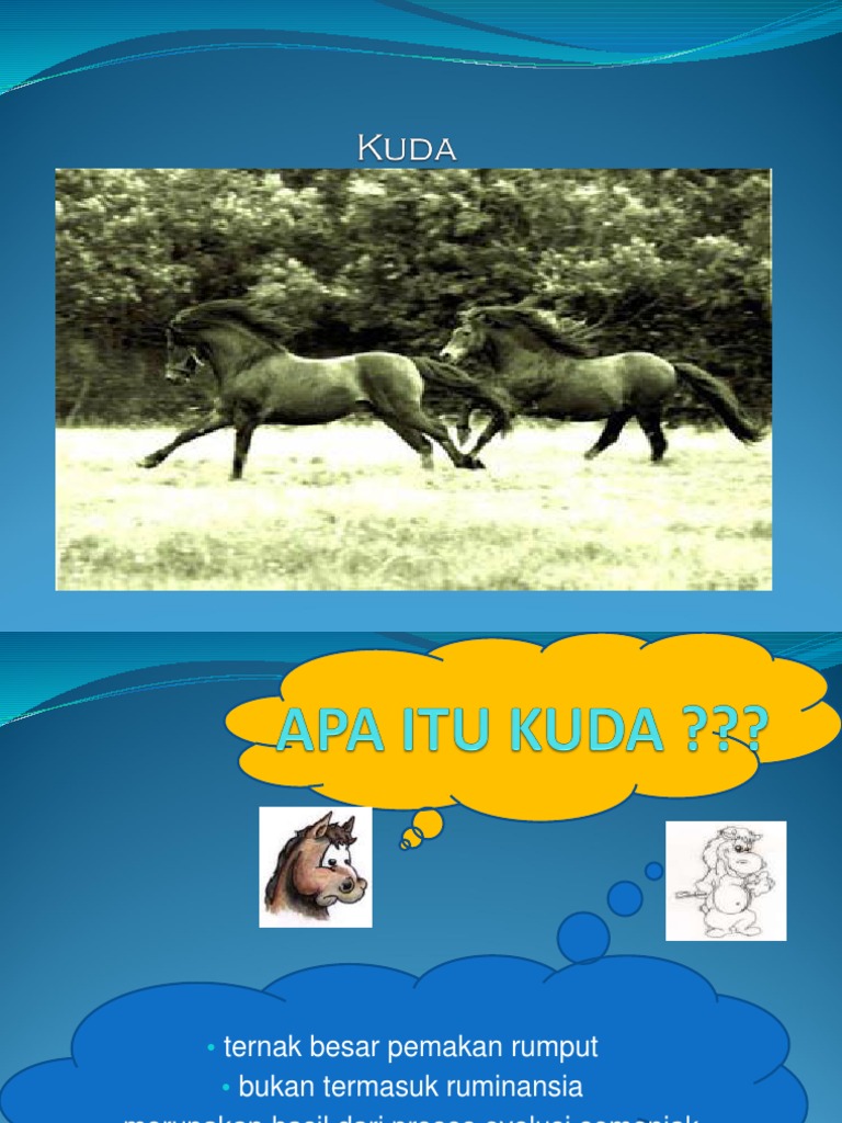 Bangsa Bangsa Kuda | PDF