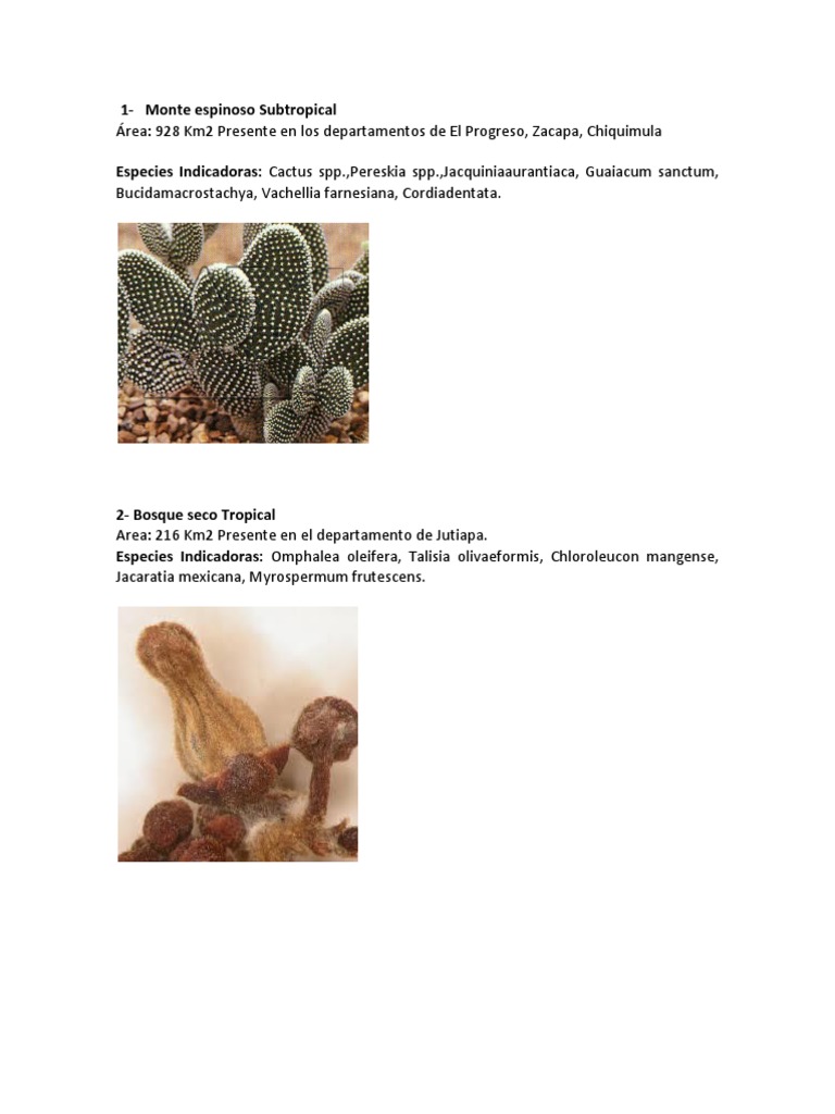 Zonas de Vida en Guatemala | PDF | Forma de vida vegetal | Los bosques