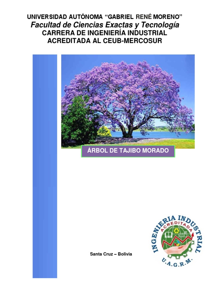 Árbol de Tajibo Morado | PDF | Riego | Fertilizante