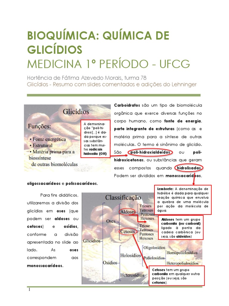 Quimica de Glicídios Resumo | PDF | Glicogênio | Carboidratos