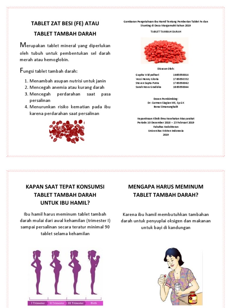 Leaflet Tablet Fe | PDF