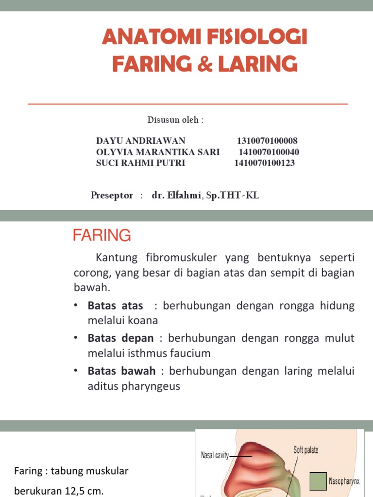 STRUKTUR DAN FUNGSI FARING DAN LARING | PDF