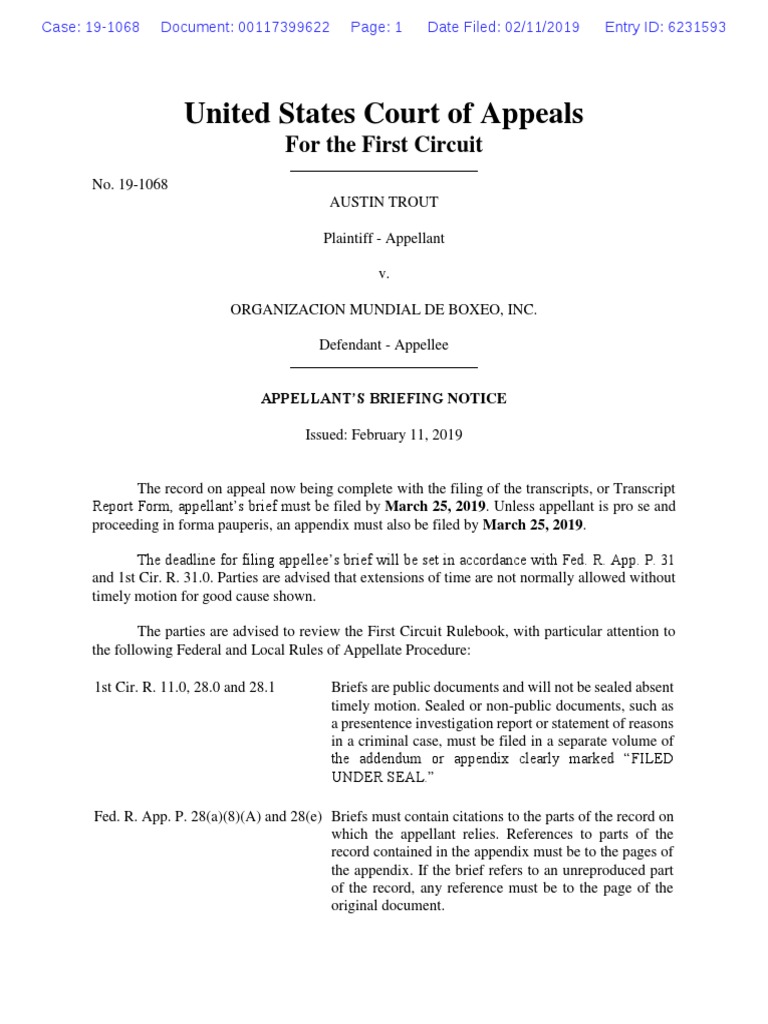 Notice of Appeal | PDF | Brief (Law) | Cm/Ecf