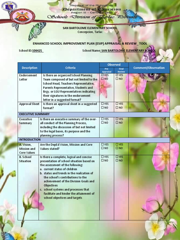 Esip Appraisal and Review Tool 2 | PDF | Governance | Evaluation