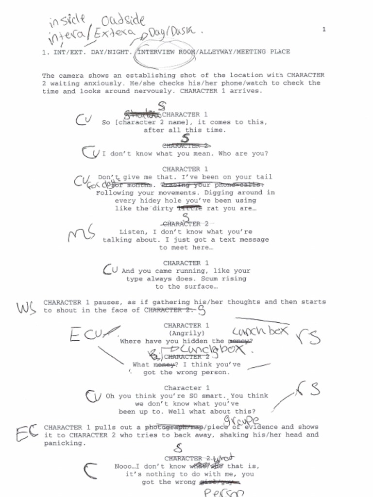 Interrogation Script | PDF