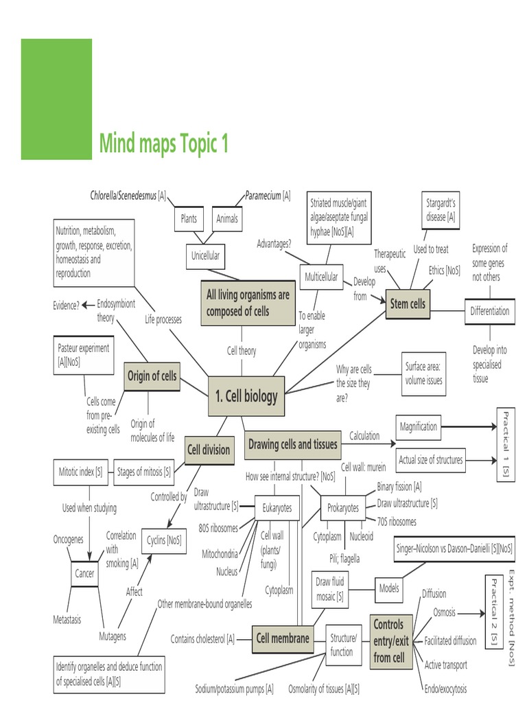 Mindmap IB Biology Topic 1 | PDF | Cell (Biology) | Genetics