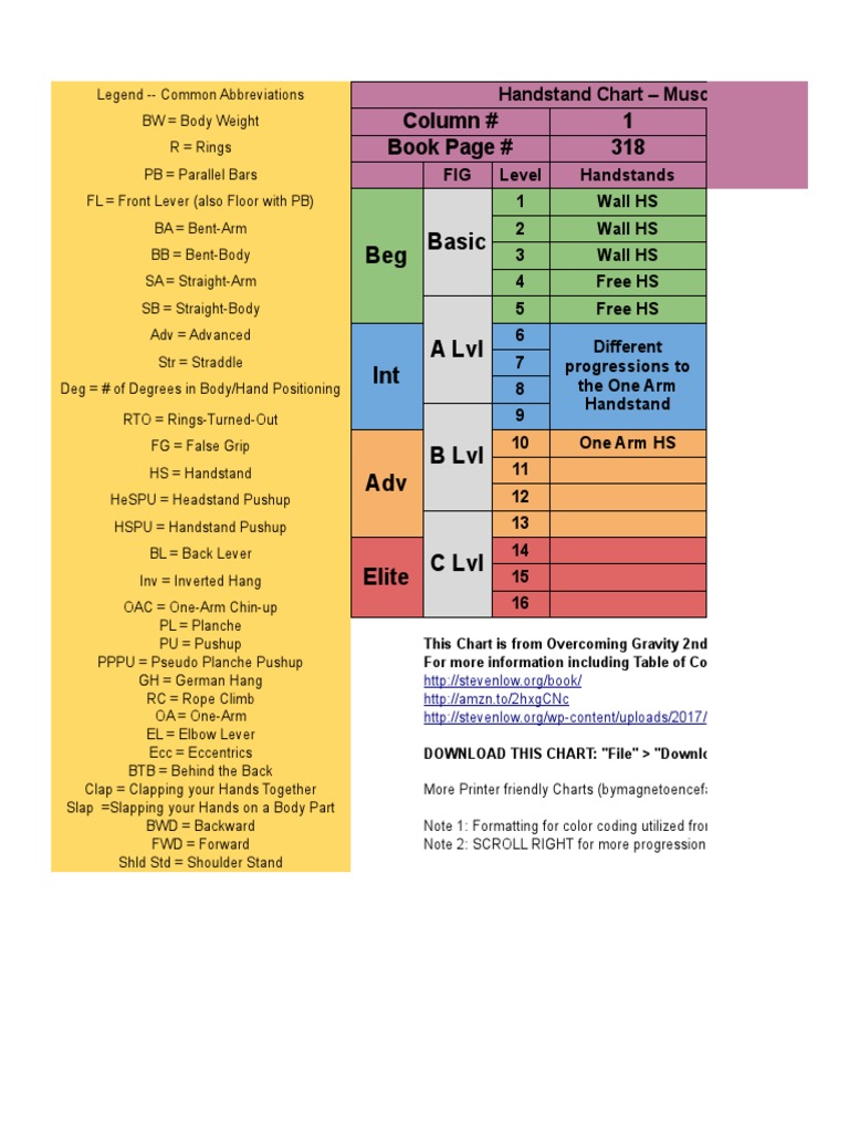 Og Sheet | PDF | Human Anatomy | Physical Exercise