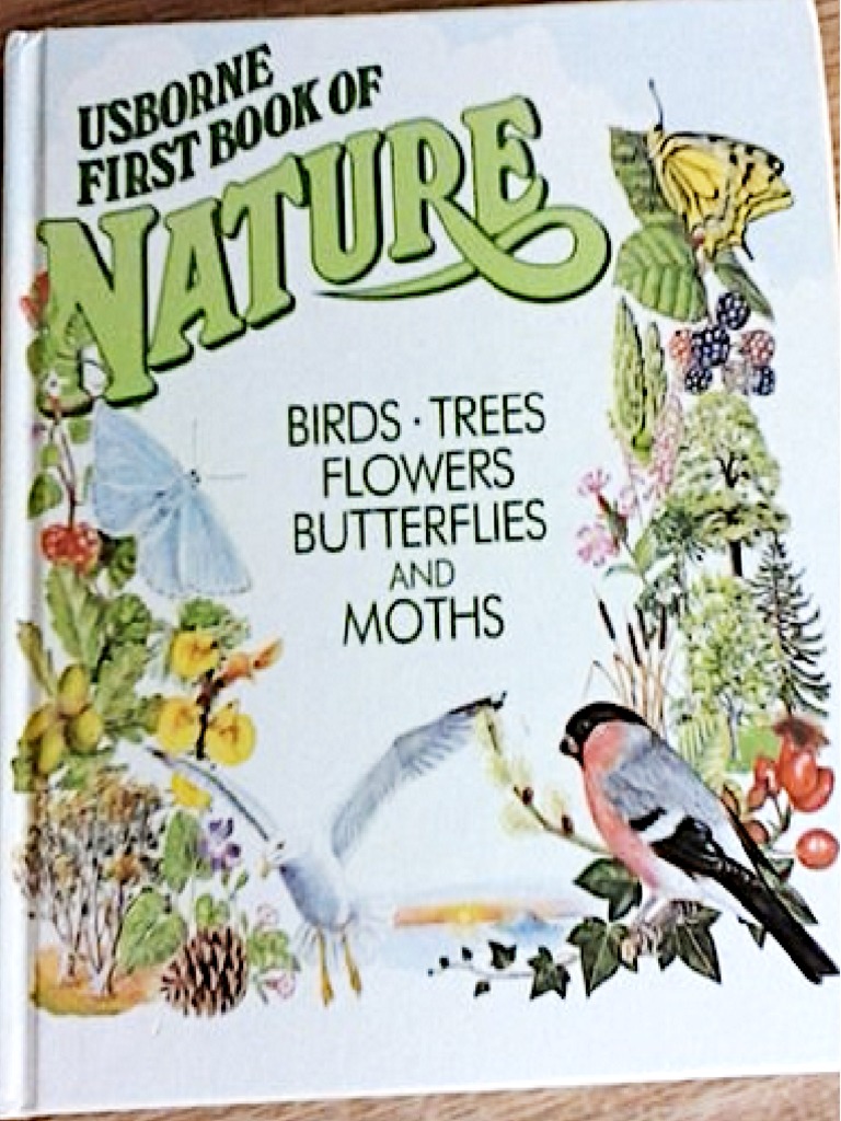 Usborne First Book of Nature | PDF