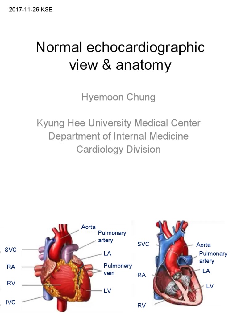Normal Echocardiographic View & Anatomy | PDF | Circulatory System ...