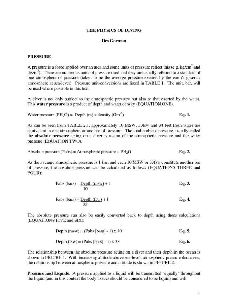 The Physics of Diving | PDF | Gases | Underwater Diving