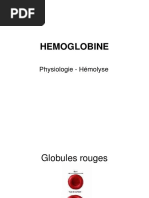 Le Globule Rouge | PDF | Globule rouge | Membrane cellulaire