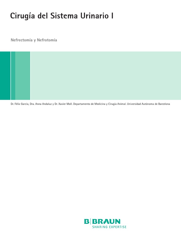 Cirugía Del Sistema Urinario I: Nefrectomía y Nefrotomía | PDF | Riñón ...
