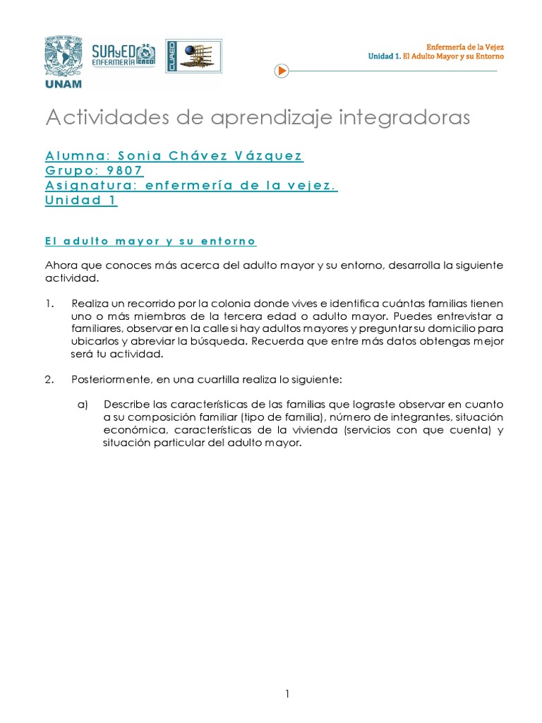 Enfermería de La Vejez Actividad Integradora 1 | PDF | Vejez | Adultos