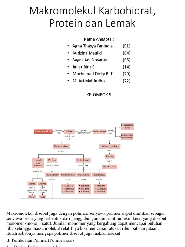 Makromolekul Karbohidrat, Protein Dan Lemak | PDF