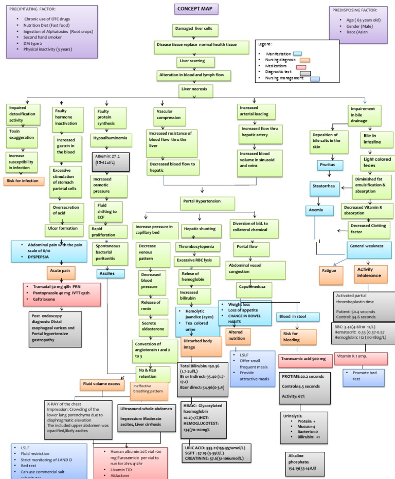 Concept Map Liver Cirrhosisss | PDF | Liver | Cirrhosis