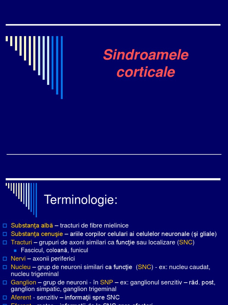Memoria Atentia | PDF