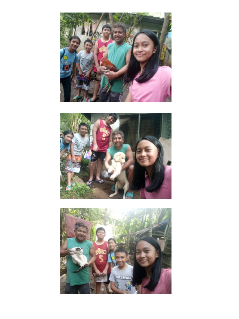 Anong Mga Hayop Ang Inyong Inaalagaan | PDF