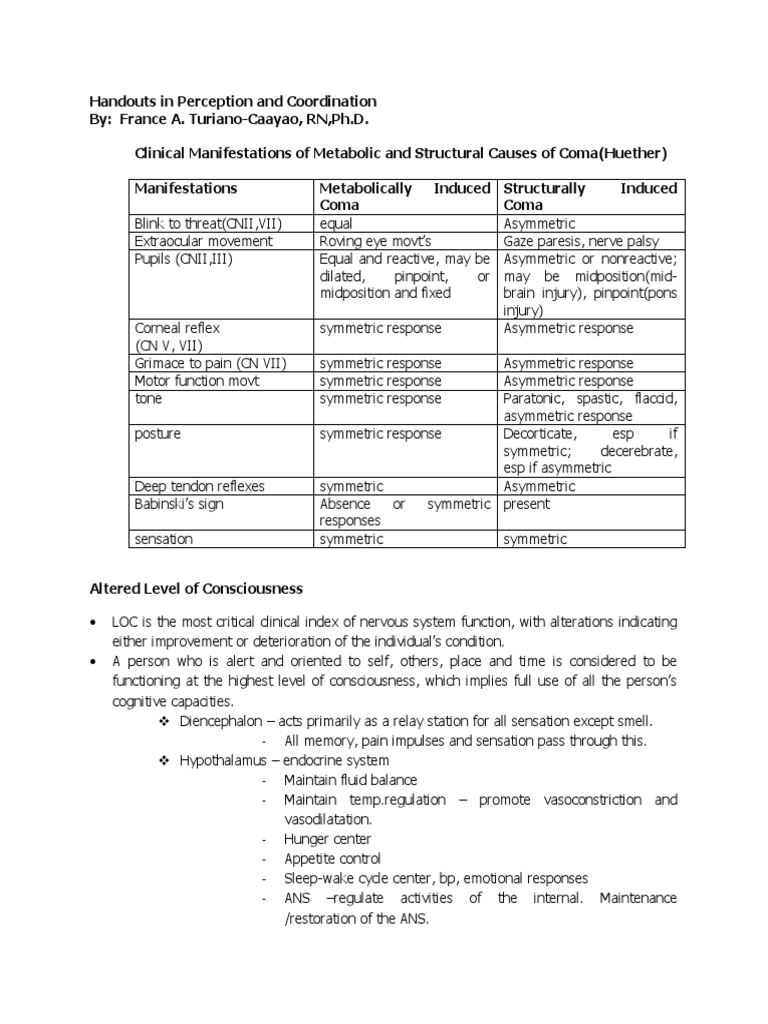 Handouts ALOC | PDF | Coma | Human Anatomy