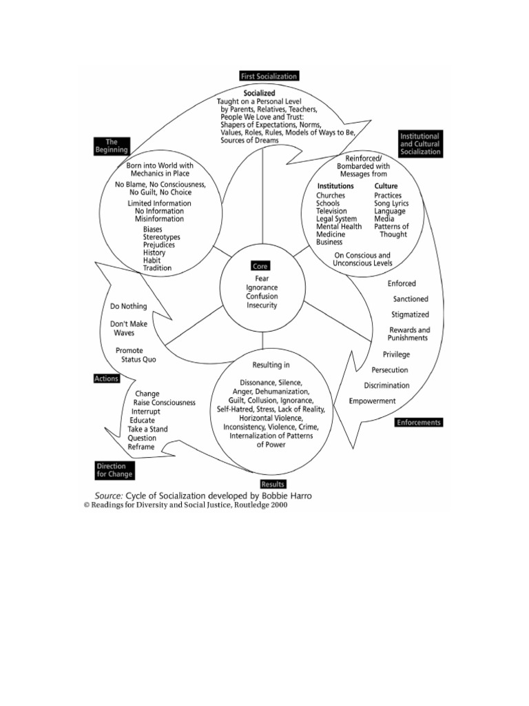Harro Cycle of Socialization | PDF