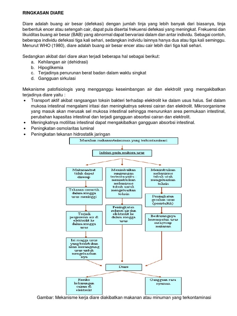 Mekanisme Diare Sekretorik dan Pathway | PDF