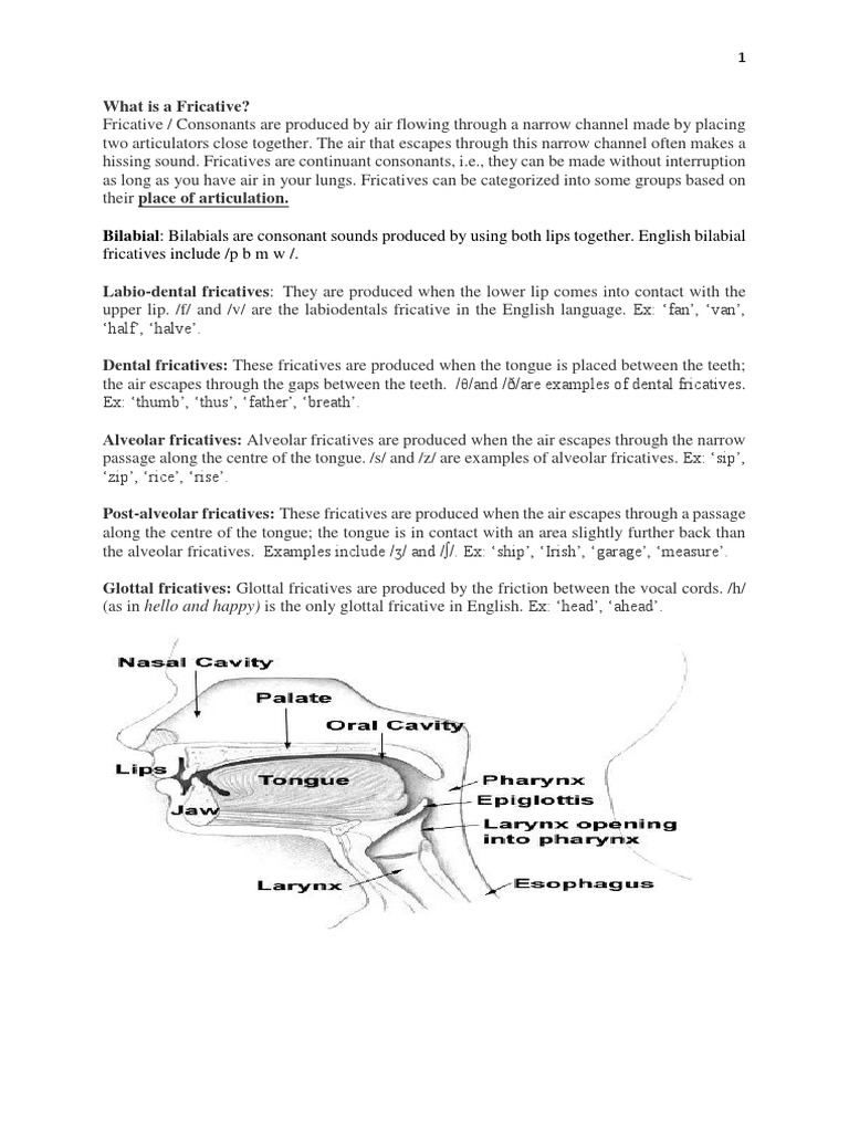 An In-Depth Exploration of Fricative and Affricate Consonants: Their ...