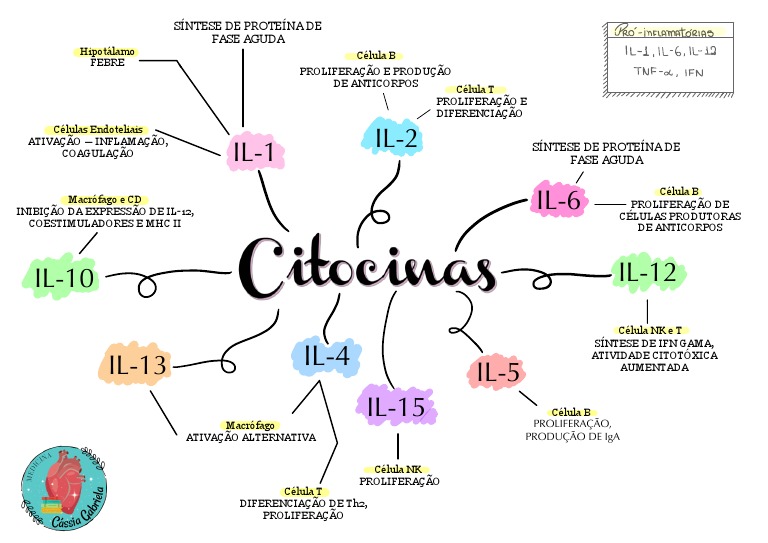 Citocinas Resumo | PDF | Interleucina 12 | Citocina