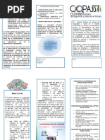 Triptico Nom 019 | PDF | Ciencias de la Salud