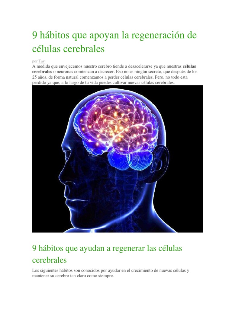 Hábitos para Regenerar Neuronas | PDF | Cerebro | Neurona