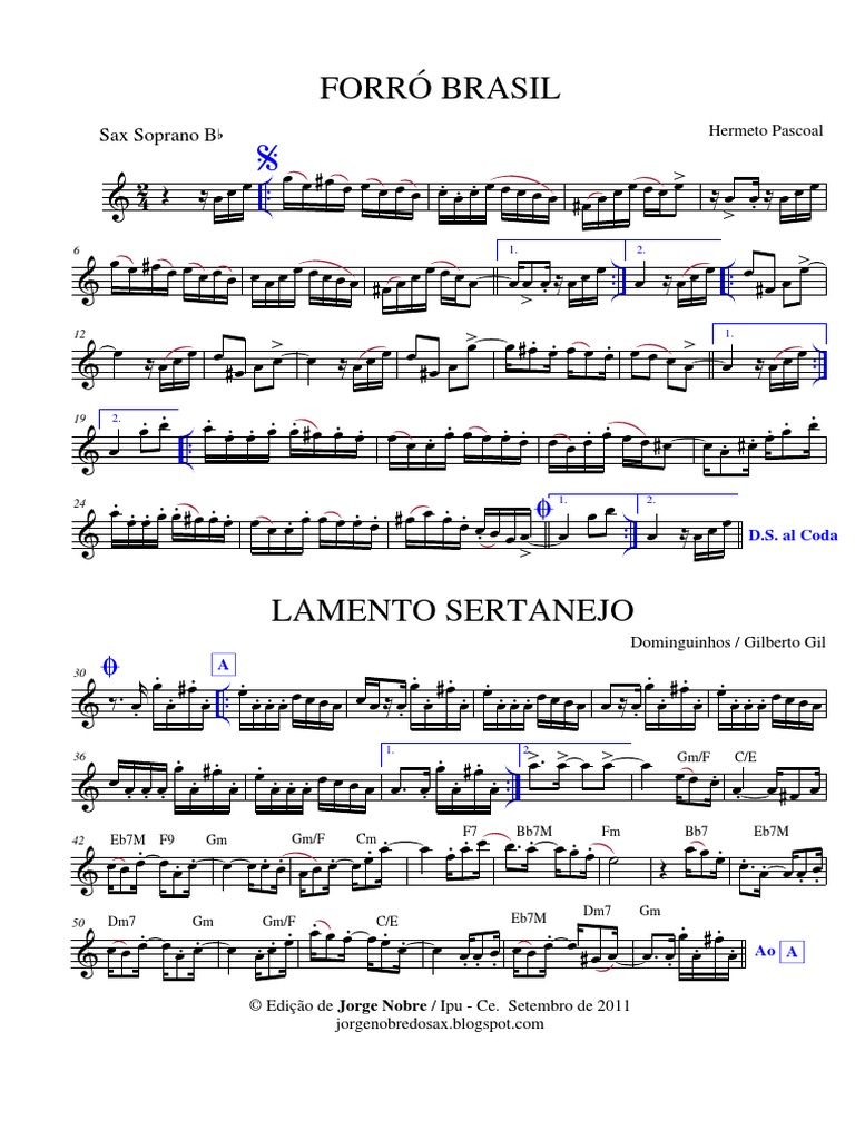 FORRO BRASIL Hermeto+Pascoal LAMENTO SERTANEJO PDF | PDF