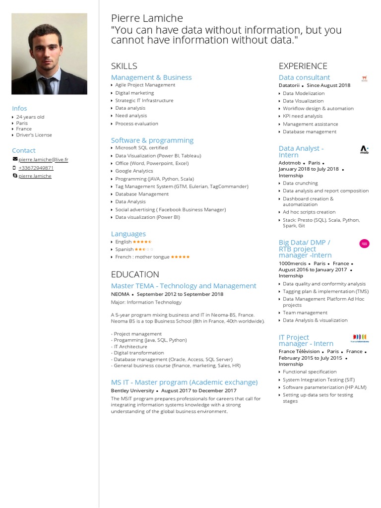 CV Pierre Lamiche | PDF | Sql | Data Analysis
