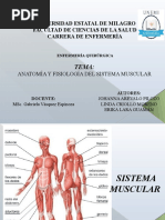Función de la Titina en el Músculo | PDF | Músculo | Actina