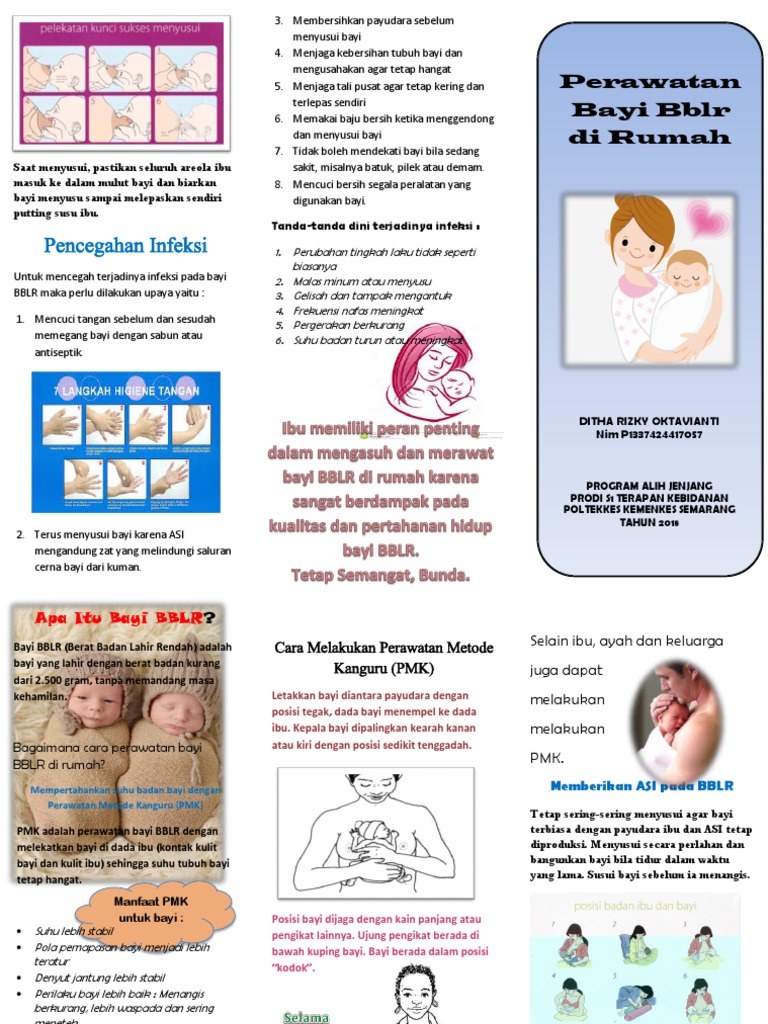 Perawatan Bayi BBLR: Tips dan Panduan | PDF