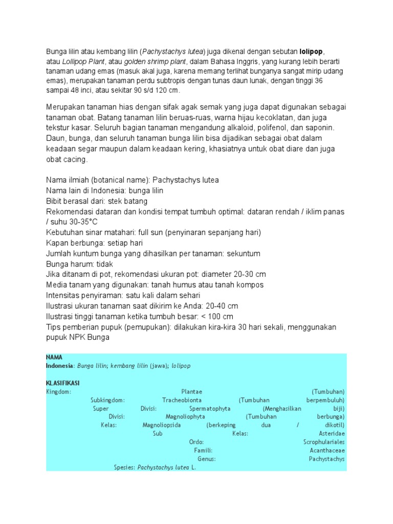 Bunga Lilin Atau Kembang Lilin | PDF | Kesehatan Holistik | Sains ...