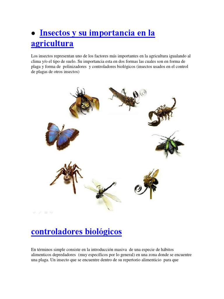 Insectos y Su Importancia en La Agricultura | PDF | Insectos ...