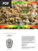 Tree Identification Key Printable: Click Here To Download | PDF ...