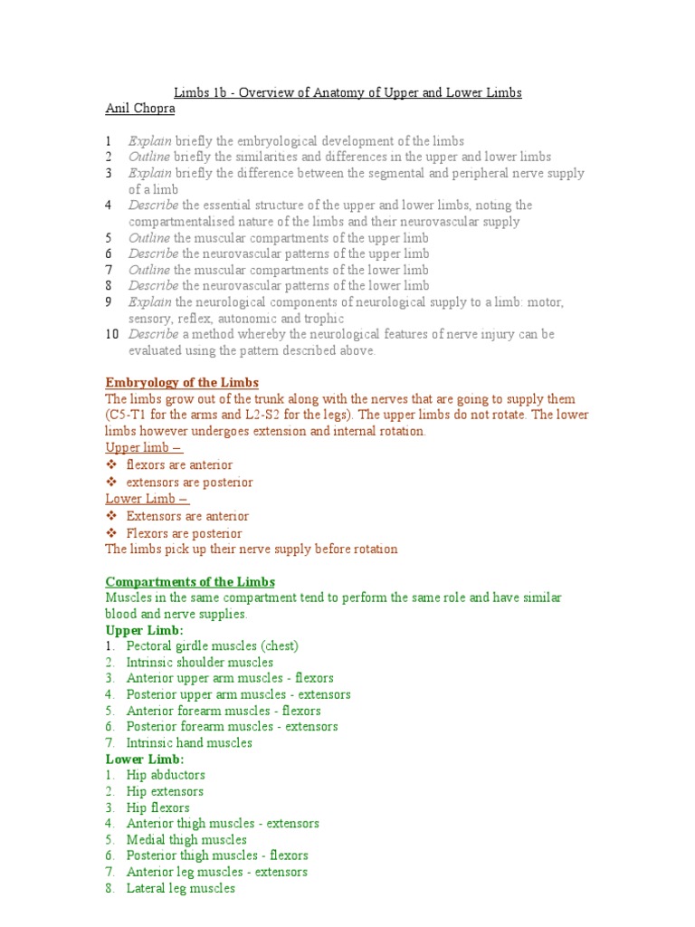 Limbs 1b - Overview of Anatomy of Upper and Lower Limbs | PDF | Arm ...