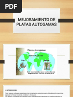 Morfologia Cebada 2020 | PDF | Cebada | Fertilizante