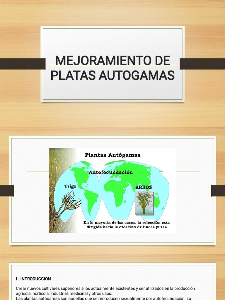 Mejoramiento de plantas autógamas a través de métodos de selección ... Mejoramiento de plantas autógamas a través de métodos de selección ...