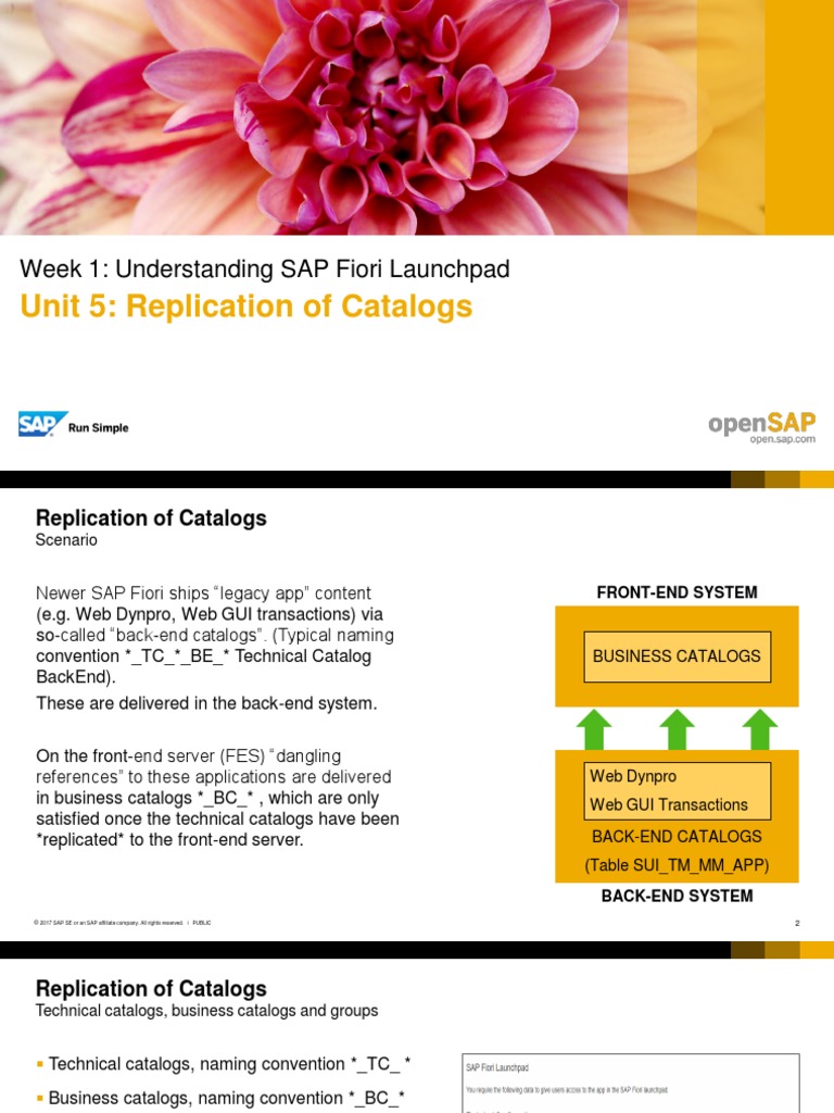 openSAP Fiops1 Week 1 Unit 5 Catalogs Presentation PDF | PDF
