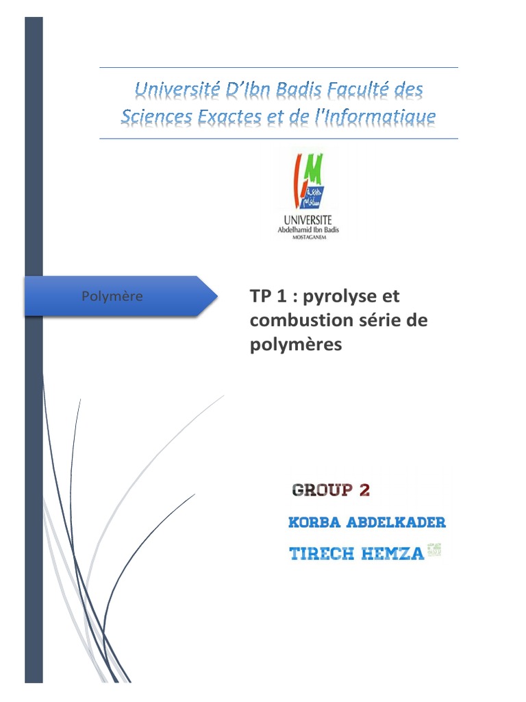 Polymère Combustion | PDF