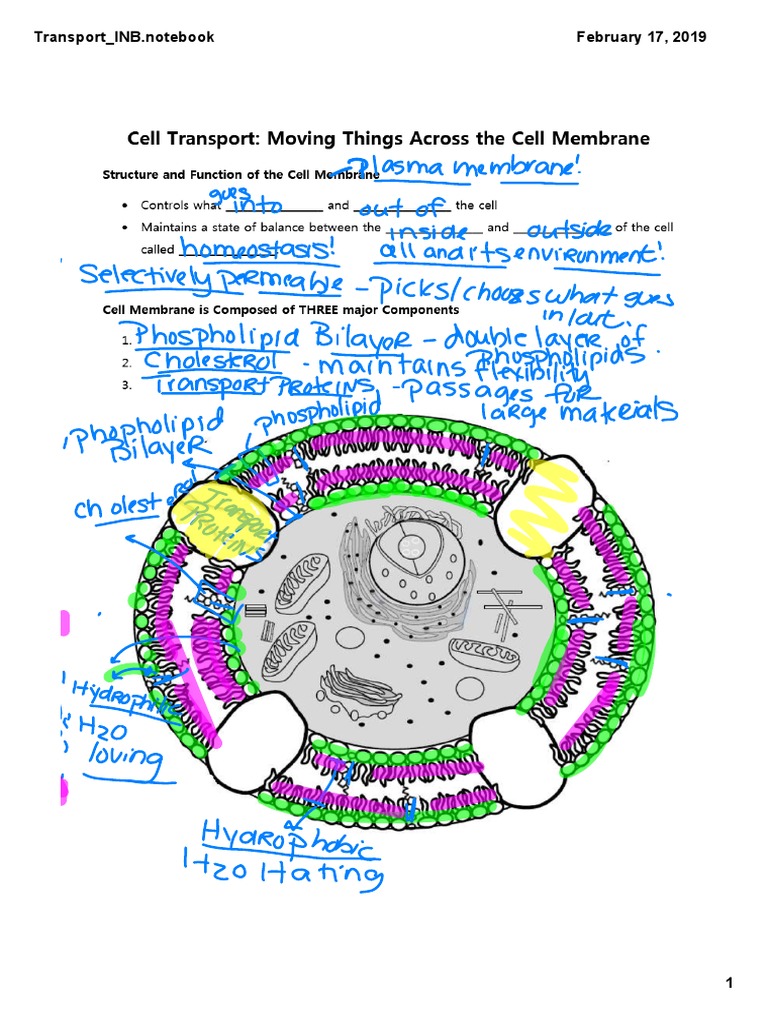 Interactive Notebook | PDF