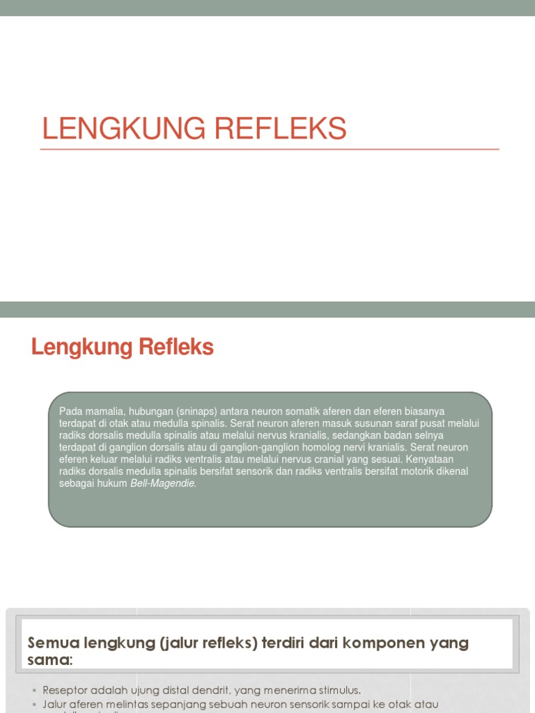 Lengkung Refleks Krisna Valen | PDF