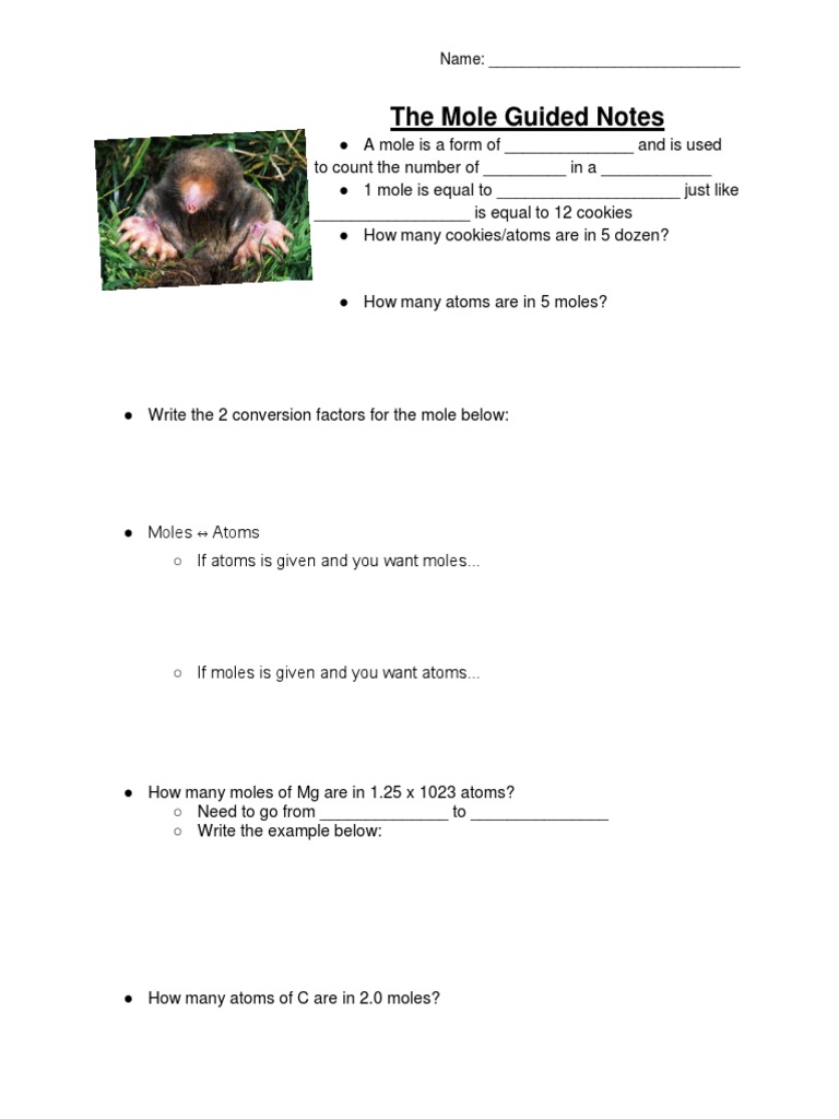 Mole Guided Notes PDF | PDF