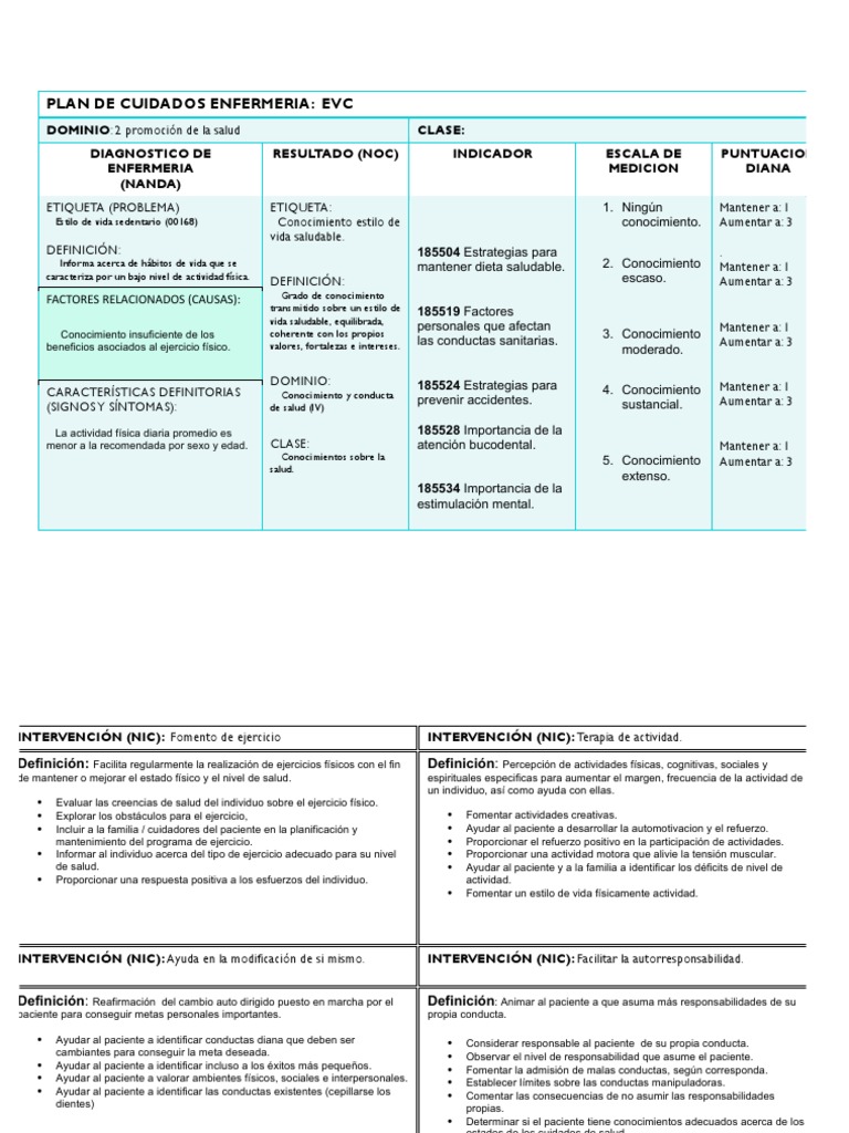 Plan de Cuidados Enfermeria | PDF | Terapia física | Enfermería